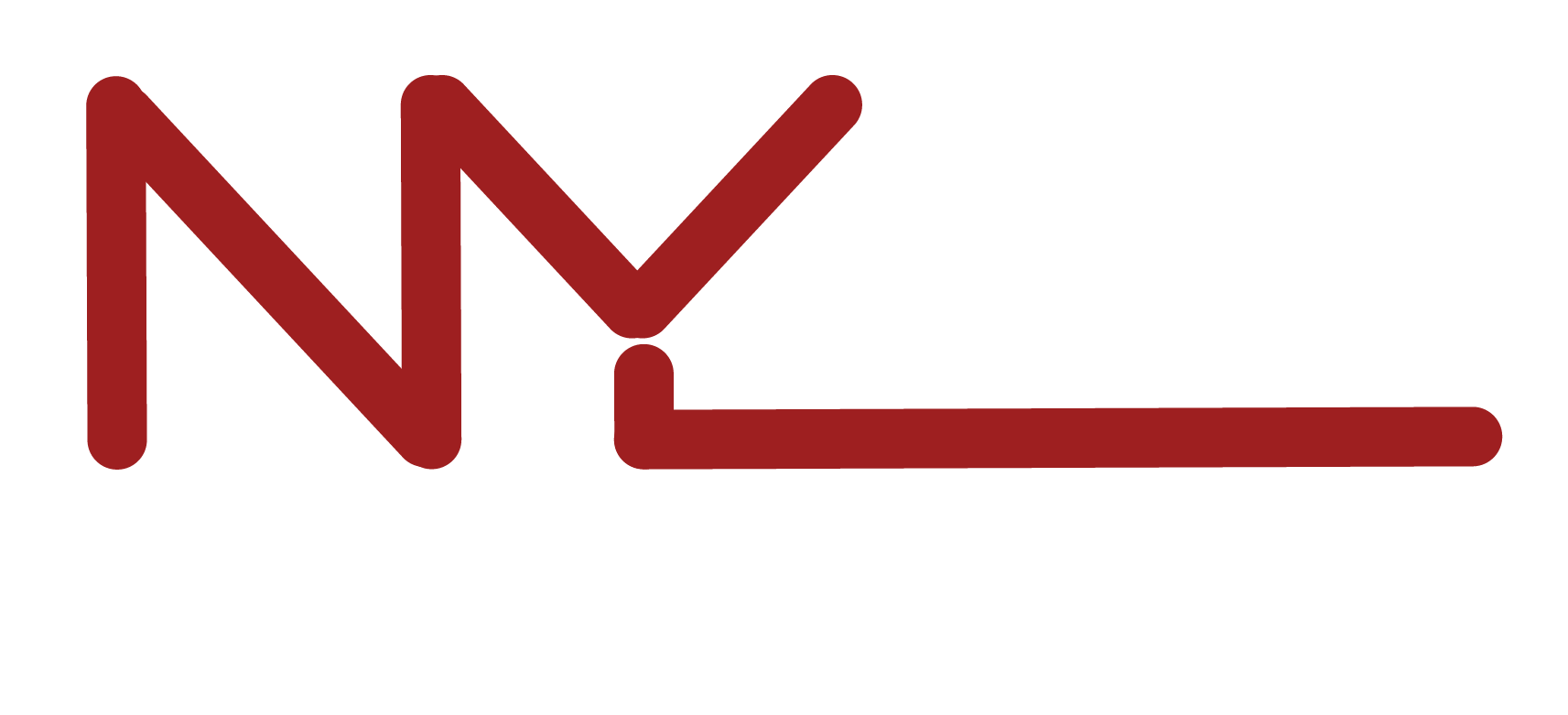 Namyong Logistics – The World-class 4PLs expertise